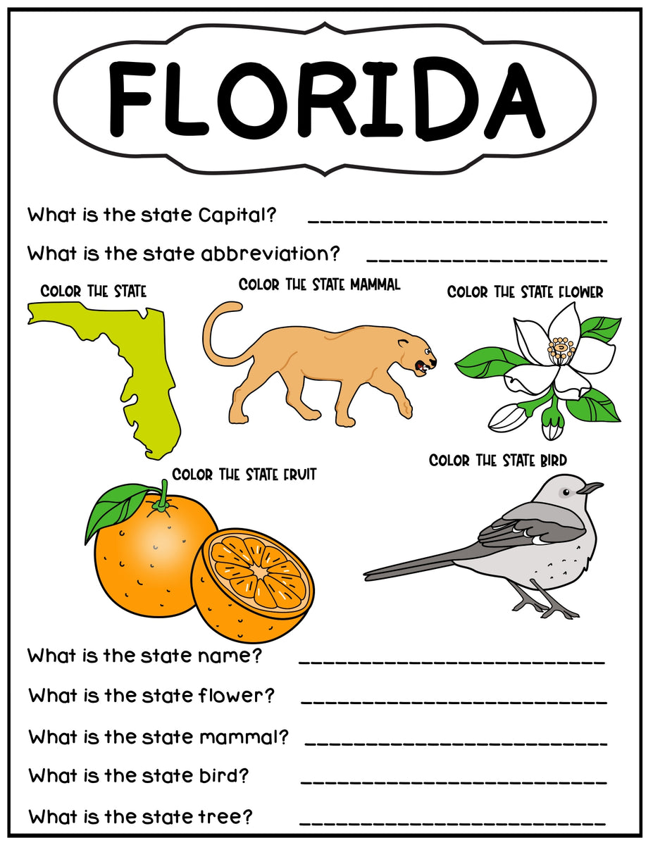 United States of America - Study the States Bundle (200 Total Pages ...