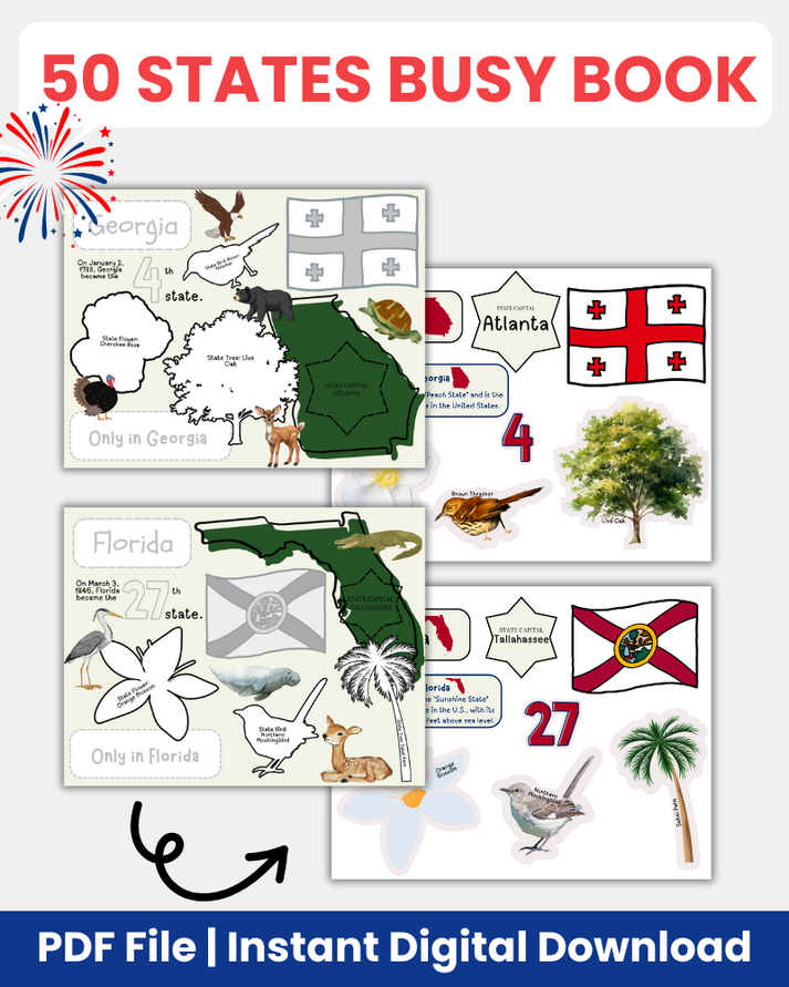 50 States Busy Book Printable - 101 Pages – 24hourprintables.com