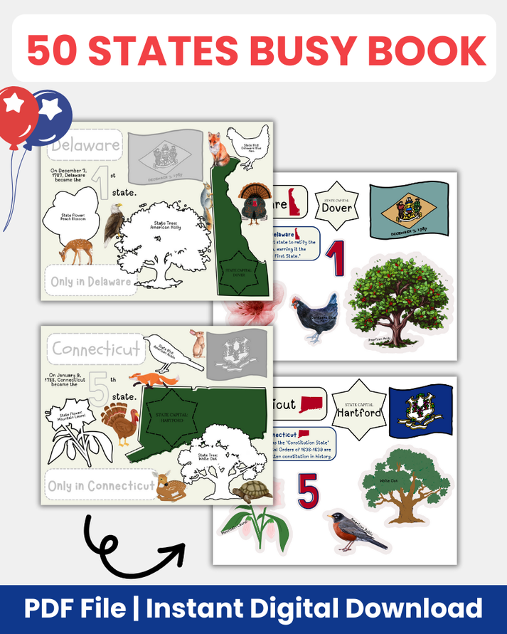 50 States Busy Book Printable - 101 Pages – 24hourprintables.com