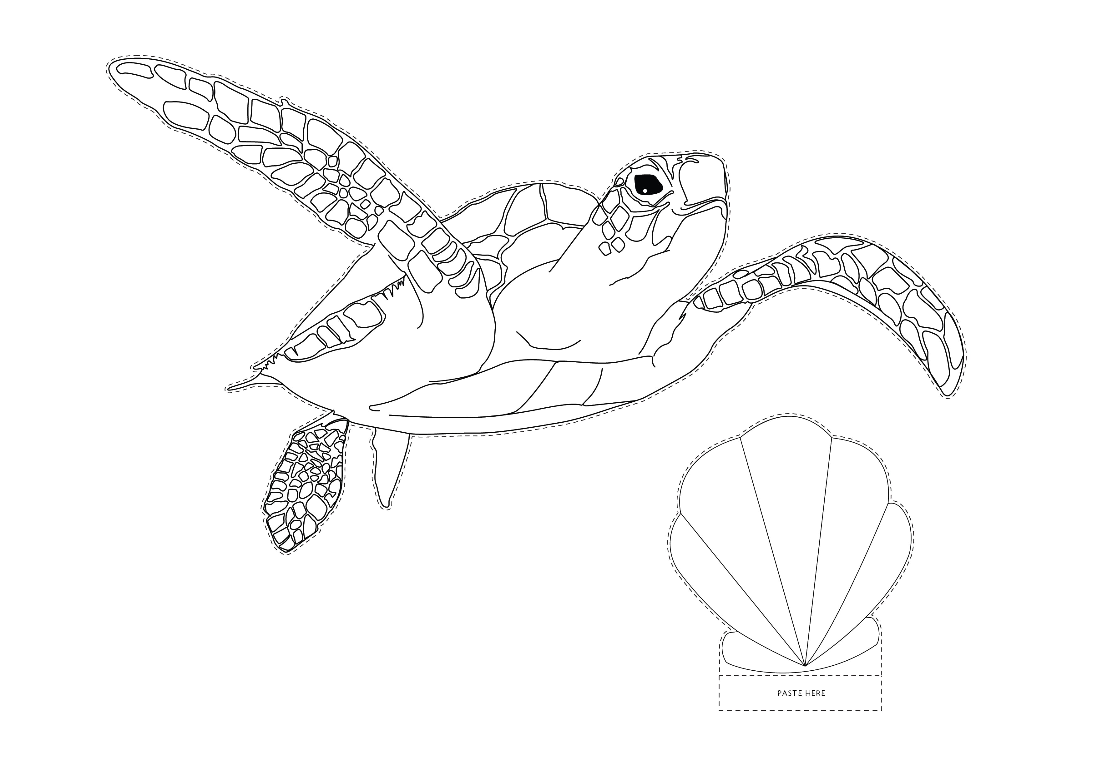 Printable Coral Reef Diorama (7 Pages) – 24hourprintables.com