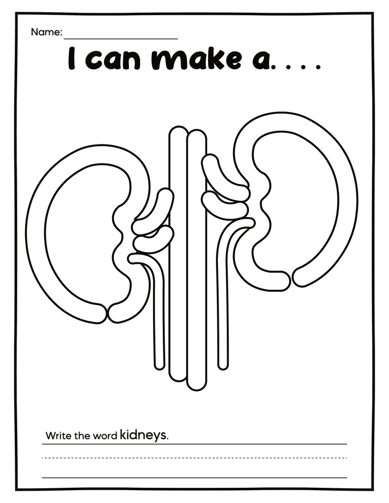 Human Organs Playdough Mats (16 Pages total) – 24hourprintables.com