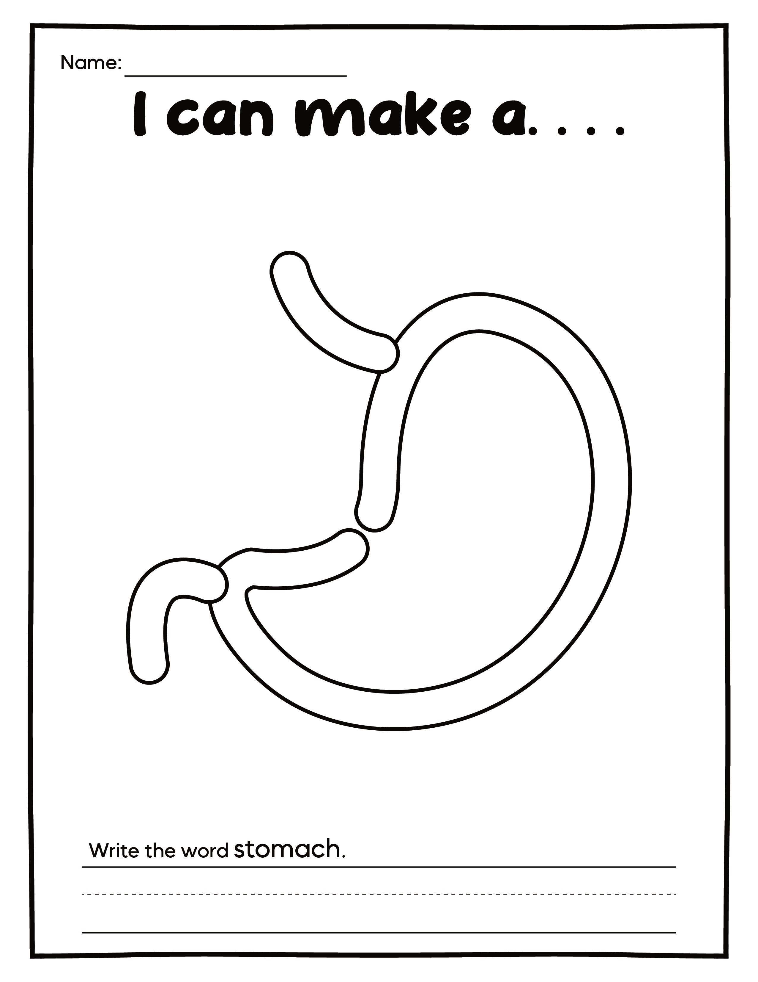 Human Organs Playdough Mats (16 Pages total) – 24hourprintables.com