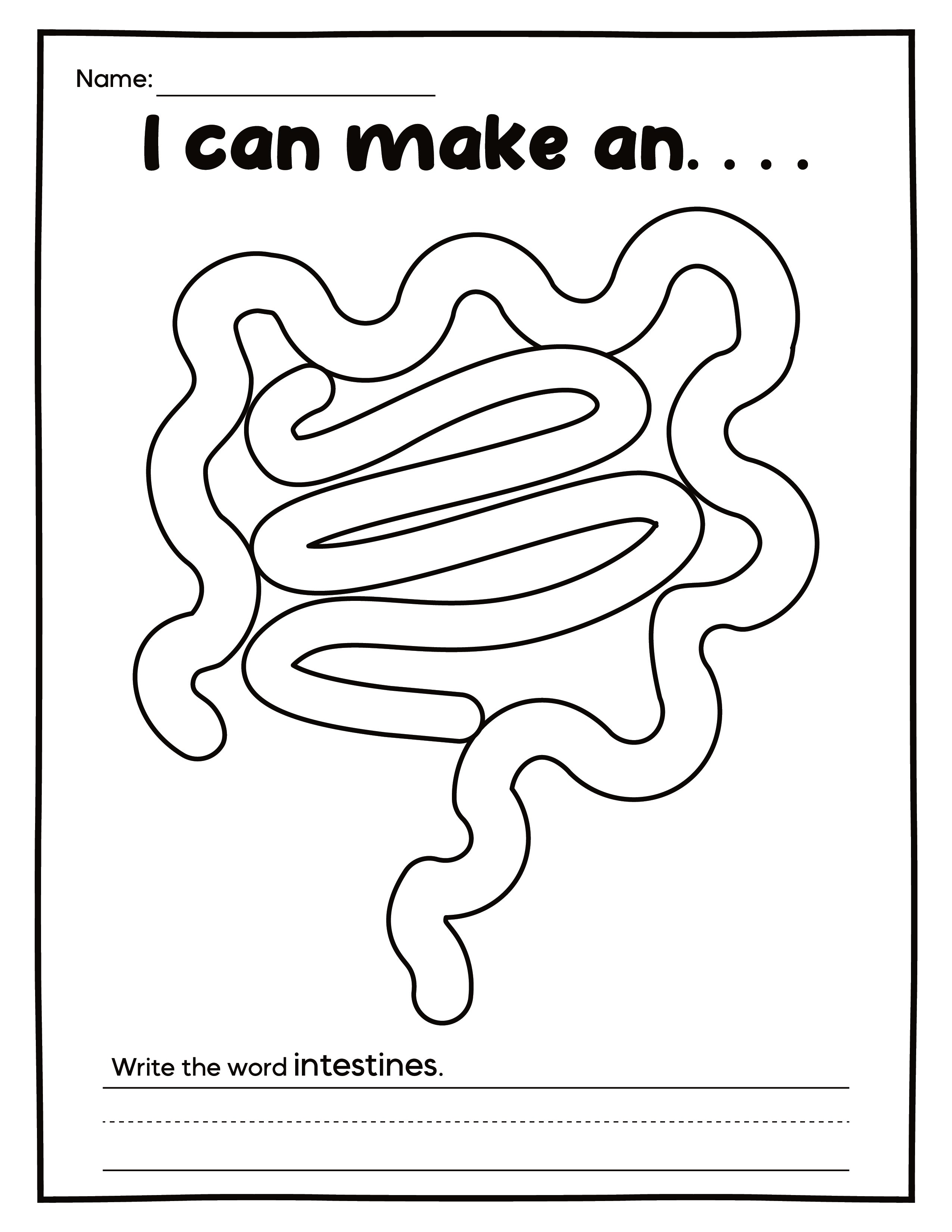 Human Organs Playdough Mats (16 Pages total) – 24hourprintables.com