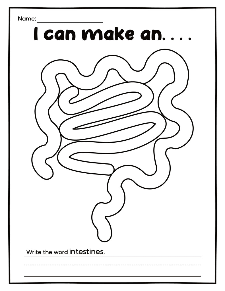Human Organs Playdough Mats (16 Pages total) – 24hourprintables.com