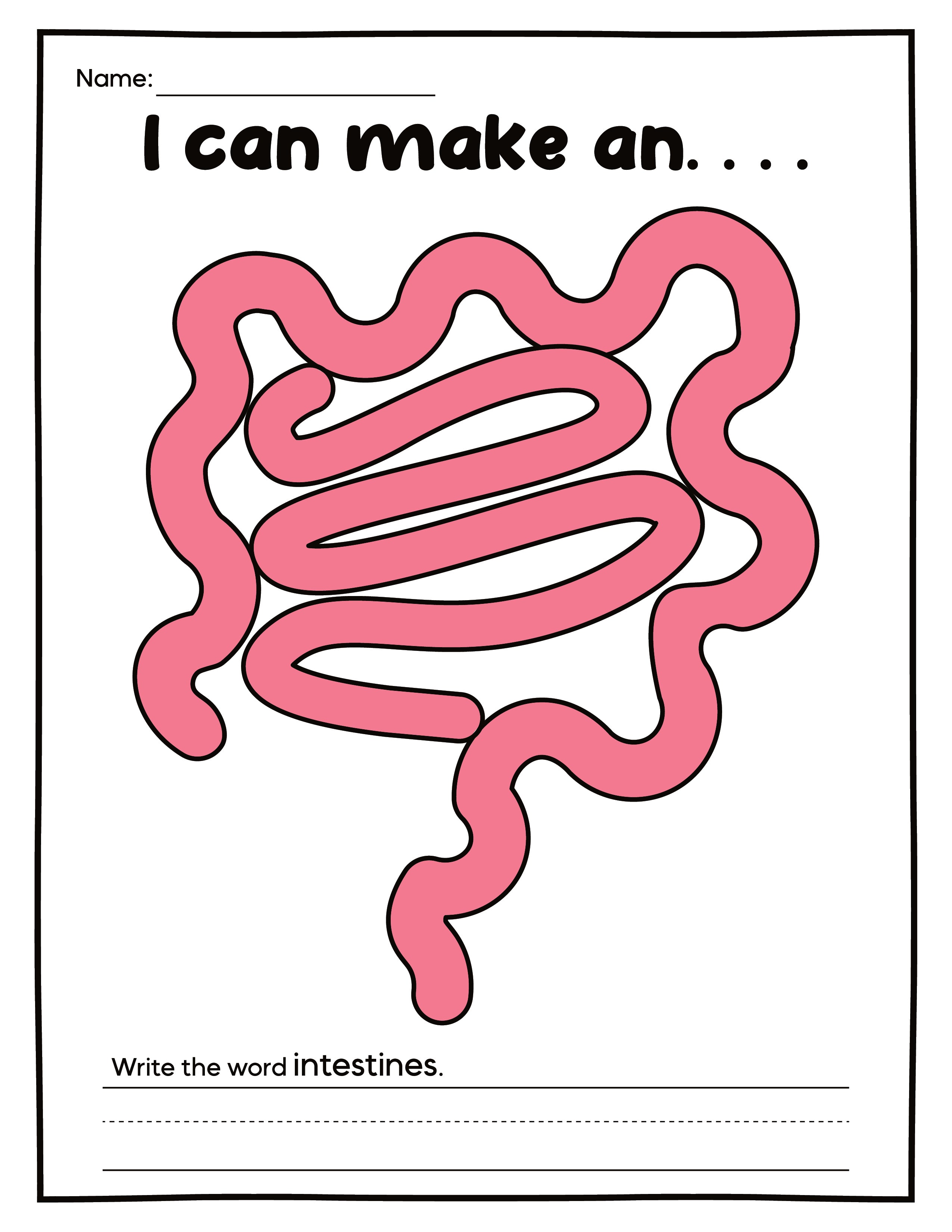 Human Organs Playdough Mats (16 Pages total) – 24hourprintables.com