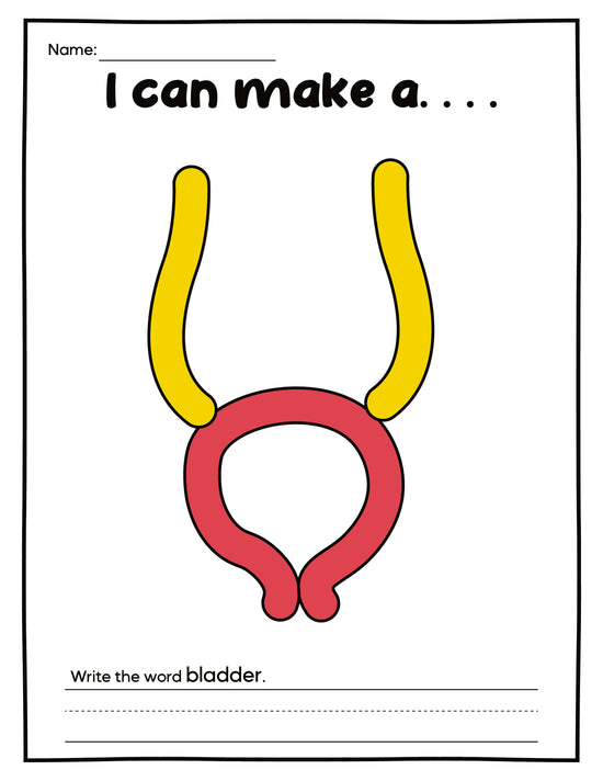 Human Organs Playdough Mats (16 Pages total) – 24hourprintables.com