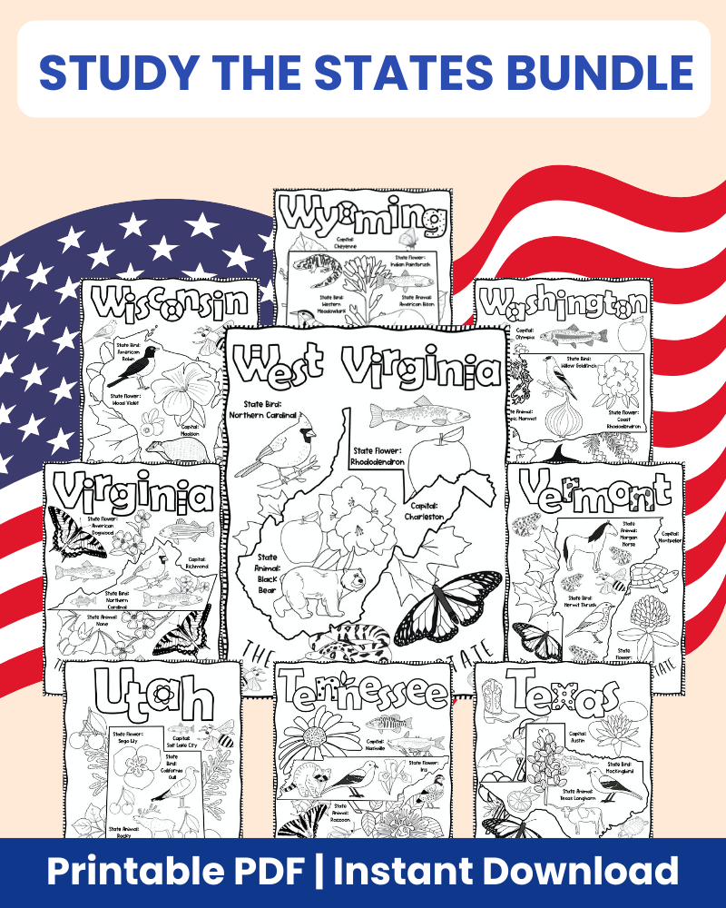 United States of America - Study the States Bundle (200 Total Pages ...