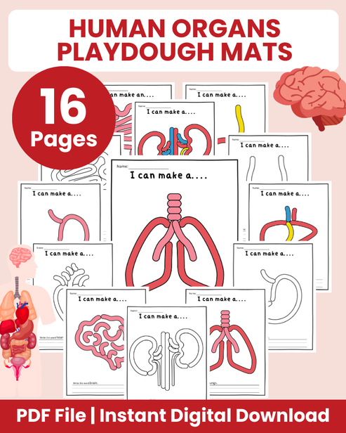 Human Organs Playdough Mats (16 Pages total) – 24hourprintables.com