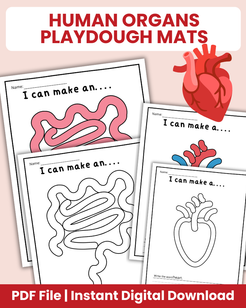 Human Organs Playdough Mats (16 Pages total) – 24hourprintables.com
