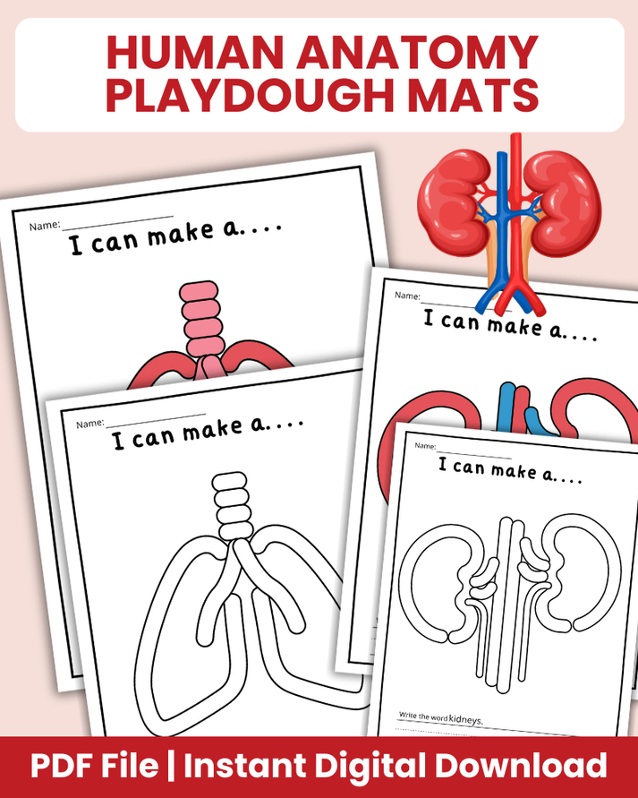 Human Anatomy Playdough Mats Printable - 16 Pages – 24hourprintables.com