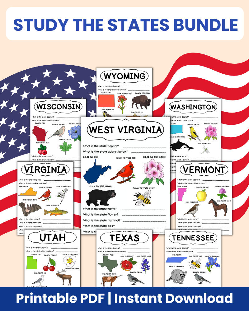 United States of America - Study the States Bundle (200 Total Pages ...