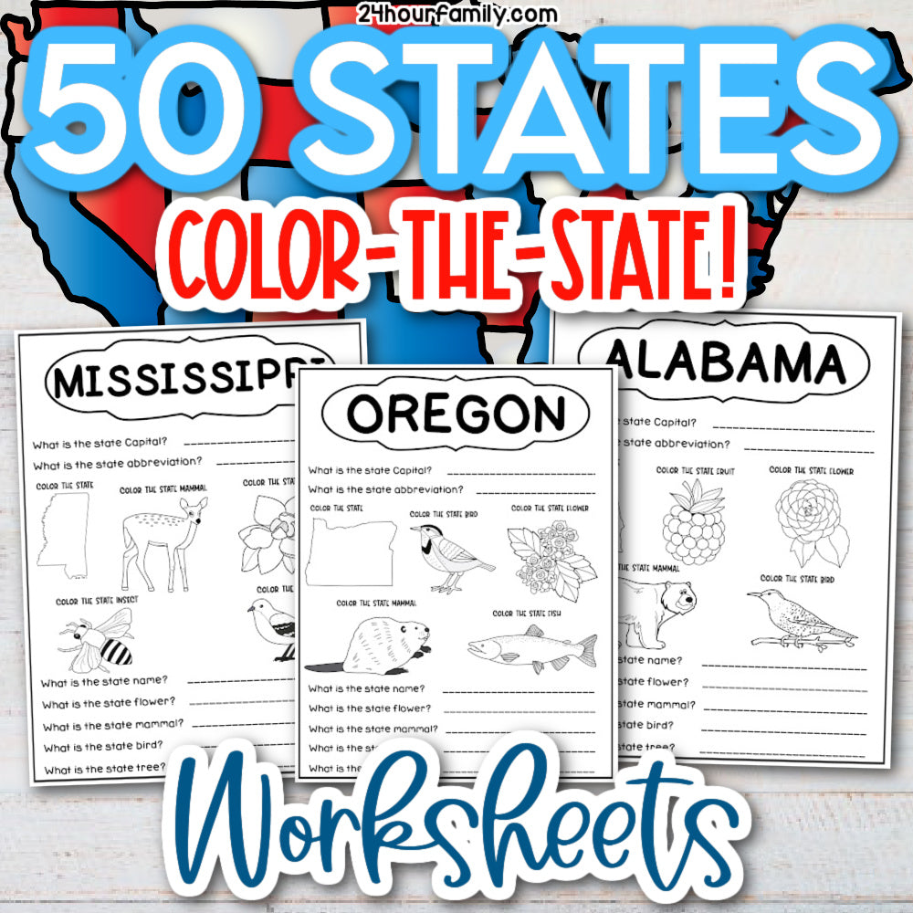 United States of America - Study the States Bundle (200 Total Pages ...