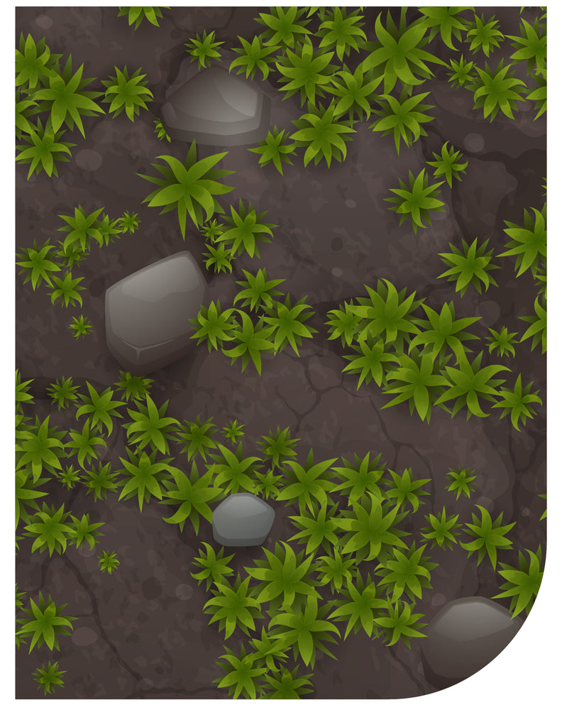 Printable Rainforest Diorama (12 Pages) – 24hourprintables.com